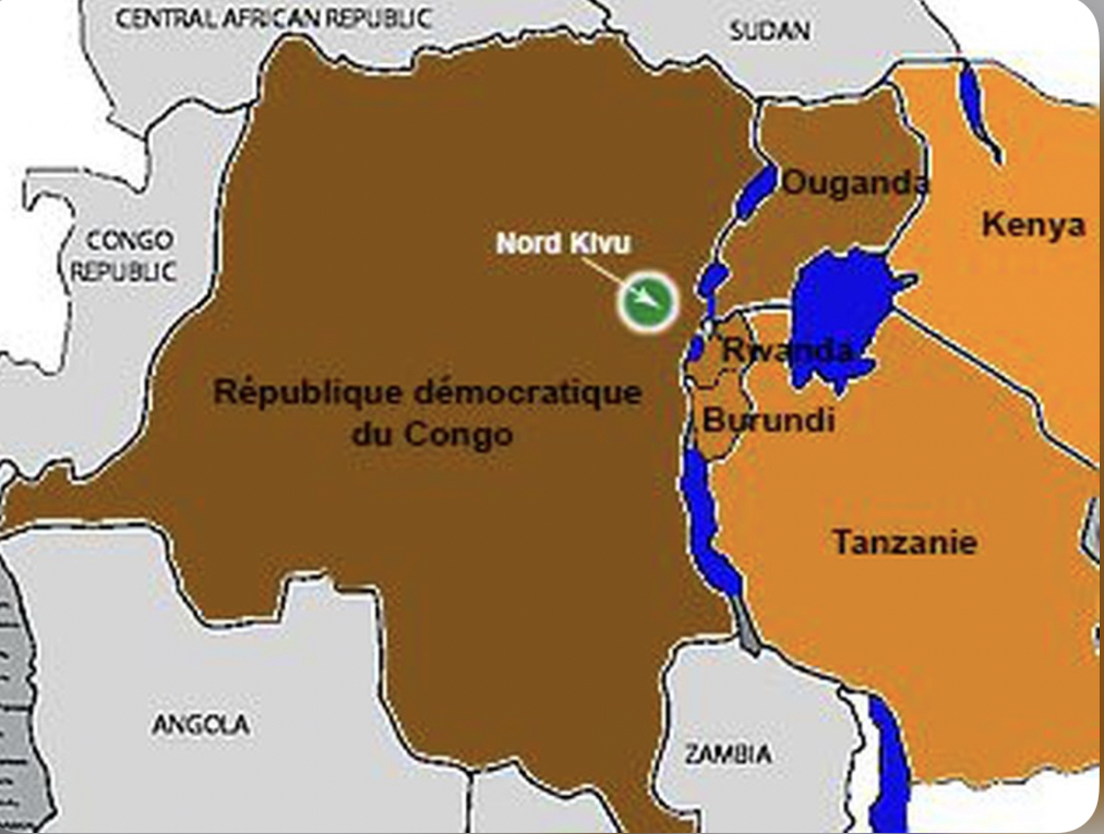 RDC – Ouganda : Contraintes d’exécution de l’Arrêt de la CIJ du 09 ...