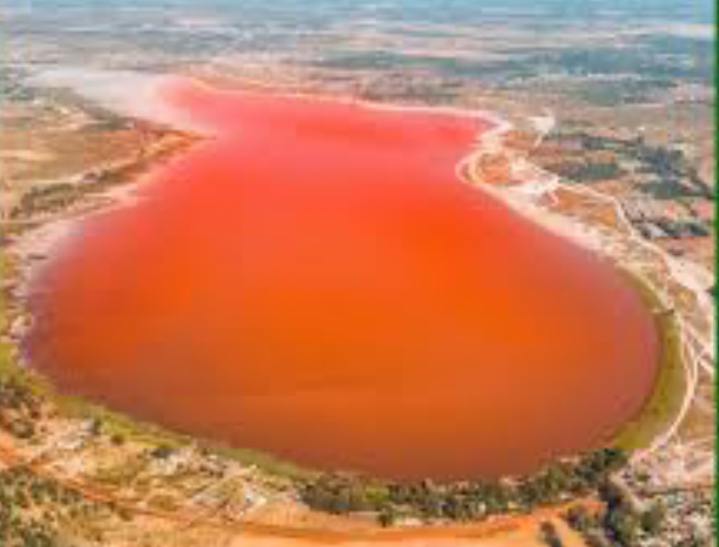 Découvrez les Secrets du Lac Rétablissement au Sénégal